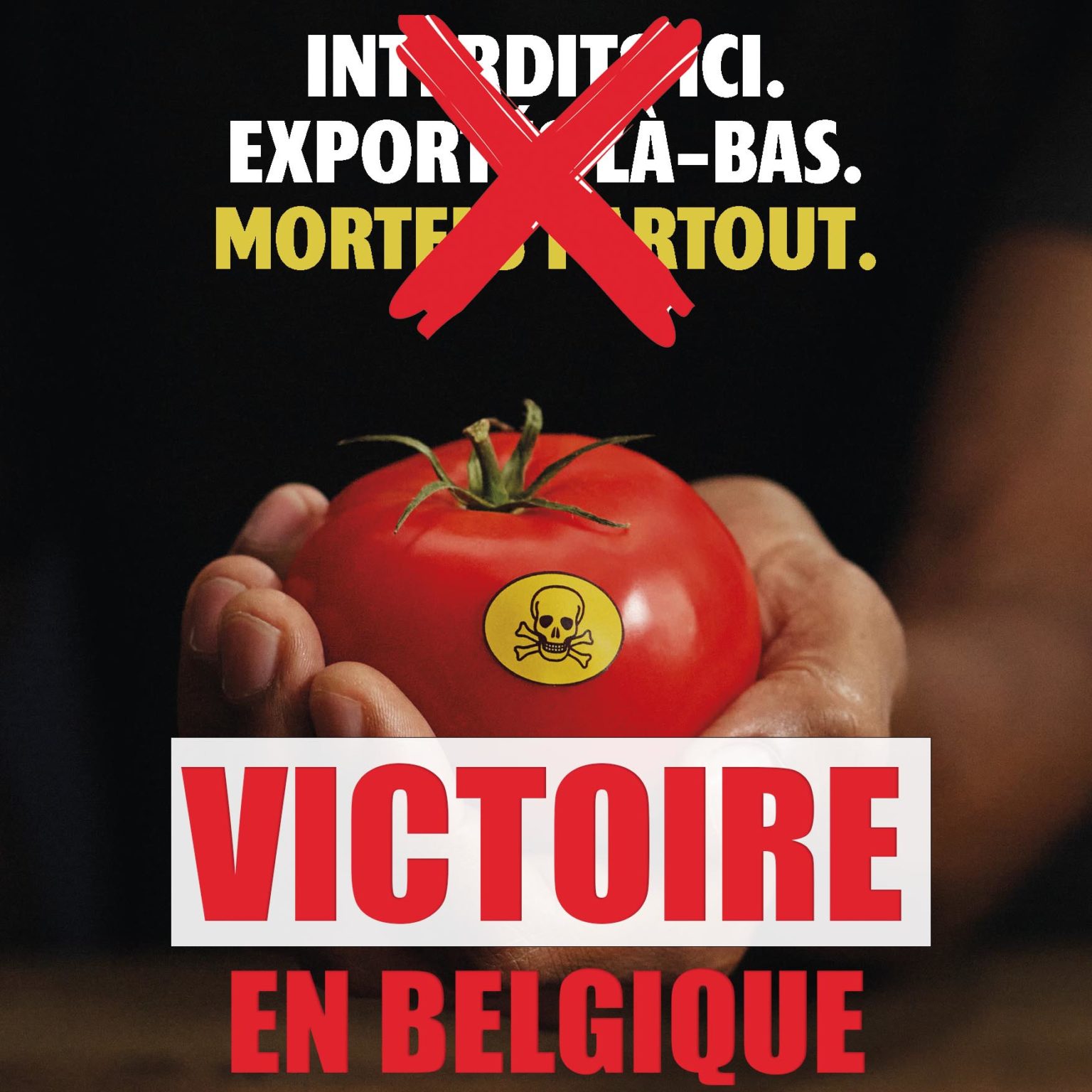 Victory: a law against the export of banned pesticides